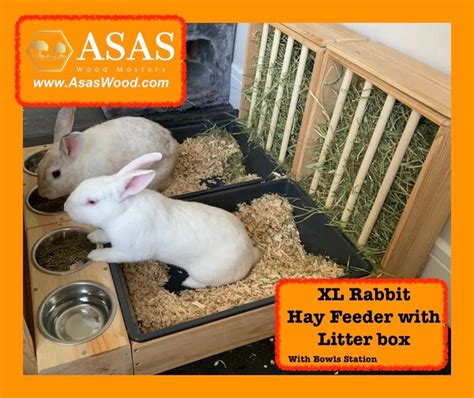 Xl Size Rabbit Hay Feeder With Litter Box Asaswood Etsy Rabbit
