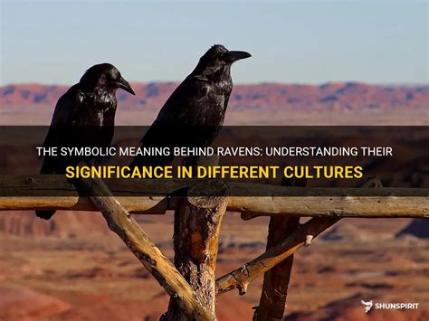 The Symbolic Meaning Behind Ravens Understanding Their Significance In