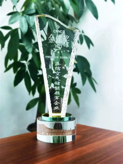 中储国能荣获“金储奖”两项大奖 中储国能（北京）技术有限公司