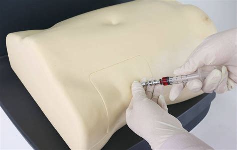 Anatomy Lab Multi Puncture Simulator — Pristine Medical