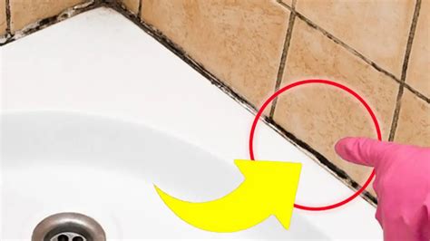 Moho Negro Alrededor De La Ducha Solo Te Deshaces De él Si Haces Esto ¡nunca Había Tenido Un