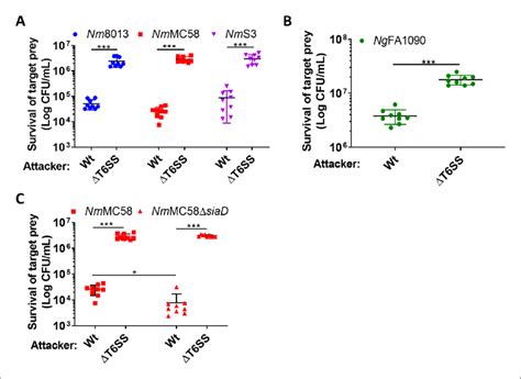 N Cinerea T6ss Is Active Against Pathogenic N Meningitidis And N
