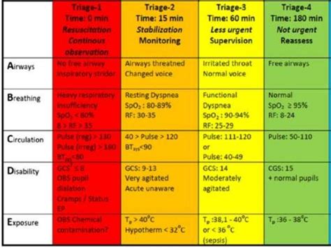 Triage Protocol