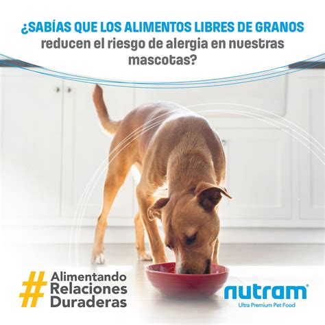 Nutram Perú 😮 ¿sabías Que Los Alimentos Libres De Granos