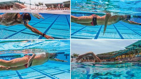 Freestyle Swimming Technique Step By With Pictures Eoua Blog