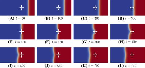 Numerical Approximation Of The Solution Of Problem P At Different Download Scientific Diagram