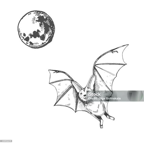 박쥐와 달 보름달 아래를 날아다니는 박쥐 모든 개체는 잉크로 손으로 그려지고 벡터로 전송됩니다 할로윈 일러스트입니다 포스터 초대장 엽서에 인쇄에 적합 갈색에 대한 스톡 벡터