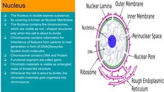 Class 9 Biology Chapter 1 PDF