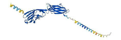 Alphafold Protein Structure Database A Must Have Tool For Biomedical