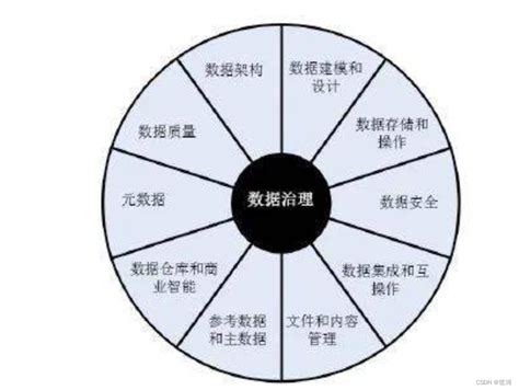 数据治理 数据管理框架数据治理框架 Csdn博客