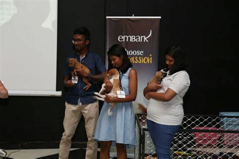 Embark Passion