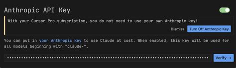 We Encountered An Issue When Using Your Anthropic Api Key Discussion Cursor Community Forum