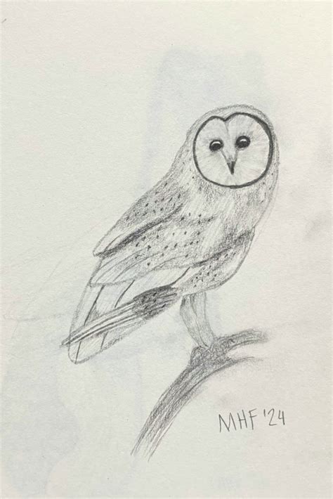 5 Pencil Shading Art A Beginners Guide