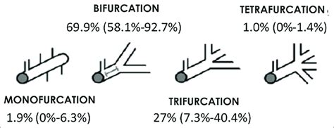 Percentage Of Middle Cerebral Artery Pattern Monofurcation