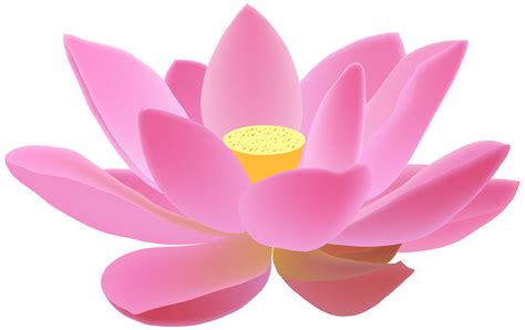 Flower Clipart Pink Lotus Picture 1126150 Flower Clipart Pink Lotus