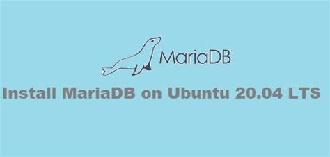 How To Install Adobe Flash Player On Ubuntu Lts Linuxways