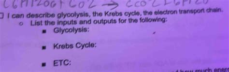 solved ] i can describe glycolysis the krebs cycle the electron transport chain 。 list the