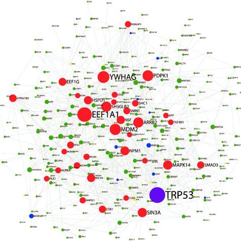 the maximum continuous network includes 352 nodes and 862 edges the