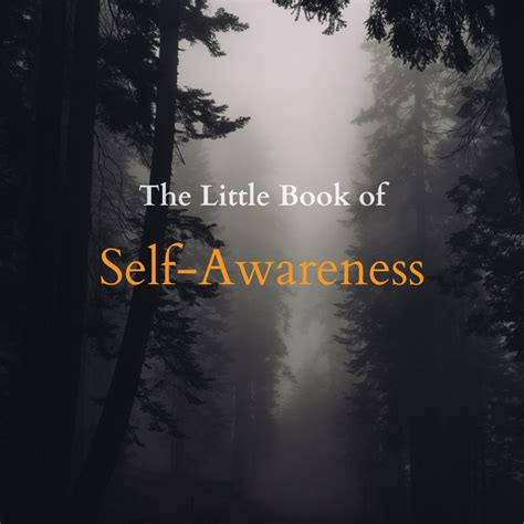 The Lb Of Self Awareness Lifelong Learning