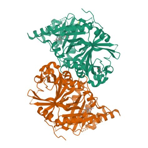 RCSB PDB X Y Crystal Structure Of AtHPPD Y Complex