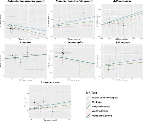 Figure 1 From Association Between Gut Microbiota And Biological Aging A Two Sample Mendelian