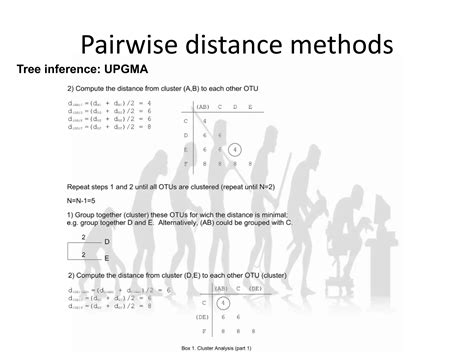 Phylogenetic Tree Construction PPT