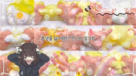 동생을 싫어했던 언니의 일기장 히트 일기장시리즈 일기장액괴 시리즈일기장 액괴일기장 액괴 슬라임 일기장 시리즈 아누모든액괴계