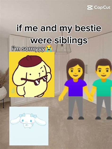 Povif Me And My Bestie Were Siblings Sanrio Pompompurin Cute Funny