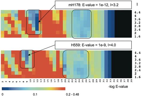 Identification Of Robust Tribemcl Mouse Hd Classifications Based On