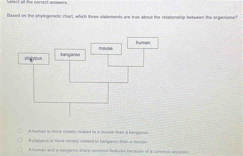 Select All The Correct Answers Based On The Phylogenetic Chart Which