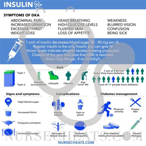 Insulin Peak Times Badge For Nurses Etsy