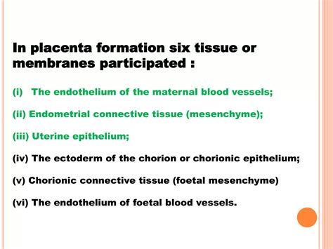 Placenta Structure And Classification Ppt