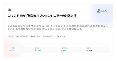 コマンドでの「無効なオプション」エラーの対処方法 Labex