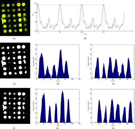 Main Steps Involved In The Mira Algorithm Download Scientific Diagram