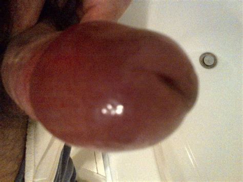 La Mia Cappella Turgida E Lucida Di Sborra Cazzo Turgido Pic