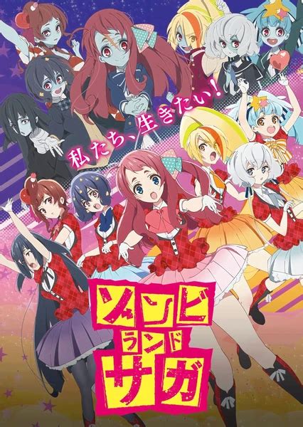 Mappa 番组百科