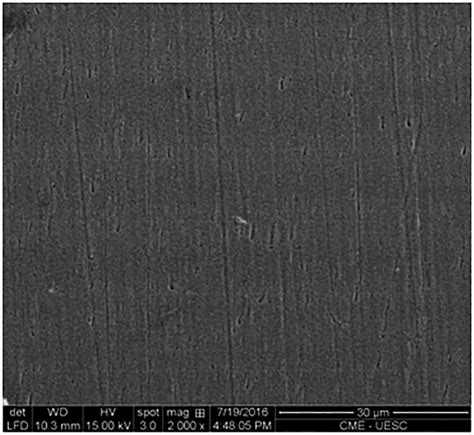 SEM Micrograph Of AISI 1020 Carbon Steel After 2 H Of Immersion In HCl