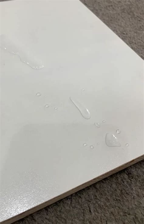Mastering Moisture Mitigation Effective Coating Solutions