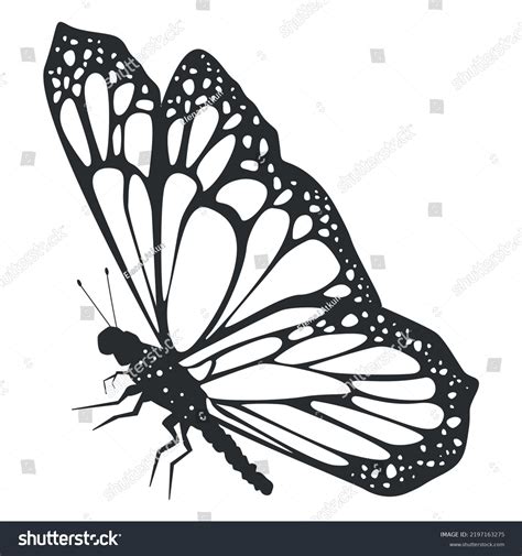 Butterfly Silhouette Side