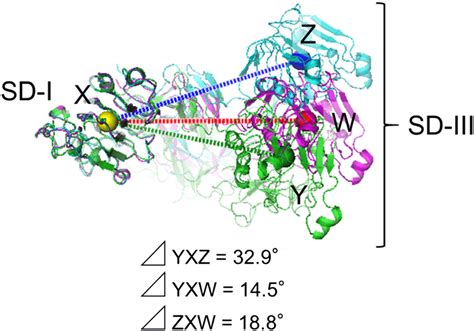 Superposition Of X Ray Crystal Structures Among Three Tethered Forms