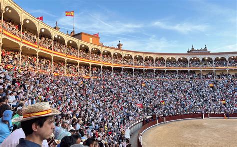 31 Cultural Interesting Facts About Bullfighting In Spain
