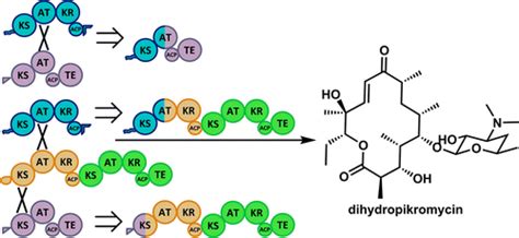 Journal Of The American Chemical Society X Mol
