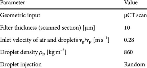 Geometrical And Numerical Parameter Settings Of The Simulations On The