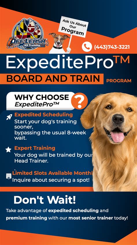 Pro Board And Train Program Off Leash K9 Training Maryland