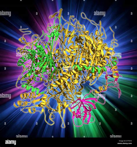 Rna Exosome Complex Molecular Model This Multi Protein Complex