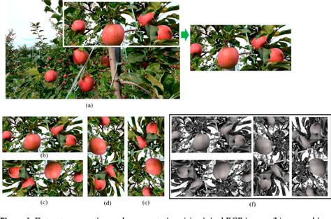 Figure 3 From Recognition And Counting Of Apples In A Dynamic State