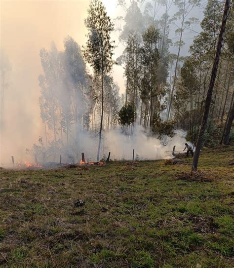 Los Incendios Forestales No Atraen Lluvias Solo DestrucciÓn El