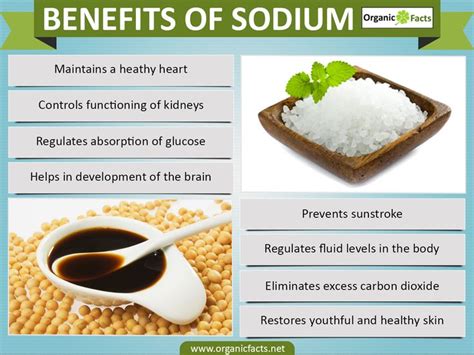 11 Impressive Benefits Of Sodium Organic Facts Improve Brain