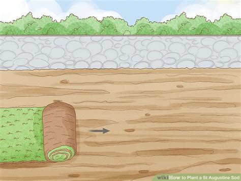 How To Plant A St Augustine Sod With Pictures Wikihow