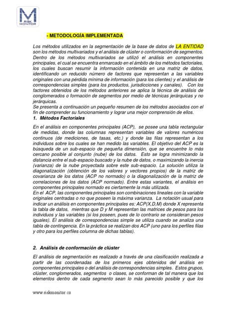 Metodologia Segmentación Factores De Riesgo Pdf Estadísticas